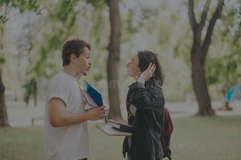Multicultural Students Discussing School Assignments in the Park Stock ...