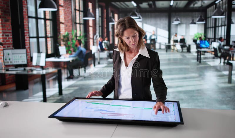 Multicultural Woman Using Project Management Software Stock Photos ...