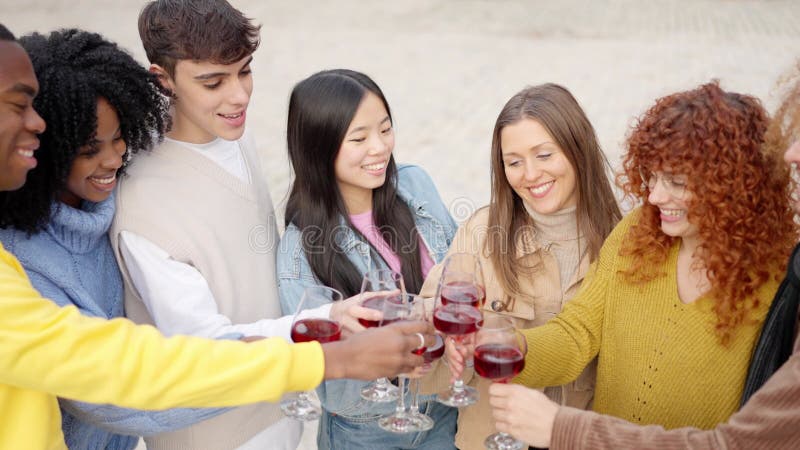 Multicultural Young People Toasting with Wine in the Street Stock Video ...