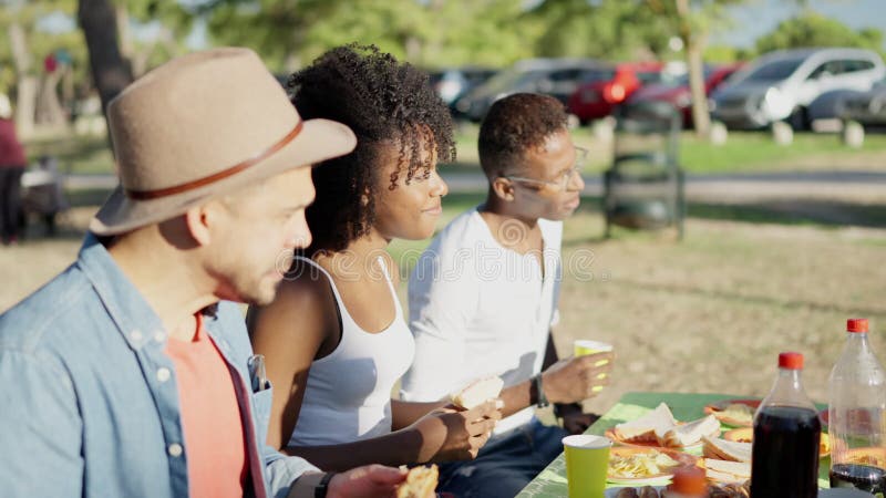 Multiethnic Group of Friends Eating in a Park Stock Footage - Video of ...