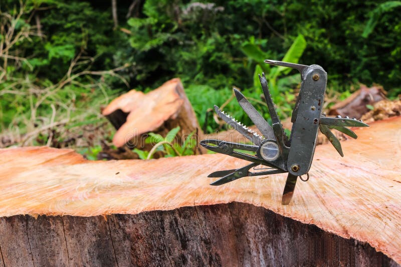 Multifunction Knife Stuck on the Tree Stump. Stock Photo - Image of ...
