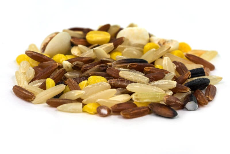 Multigrain Rice stock image. Image of rice, food, multigrain - 62163073