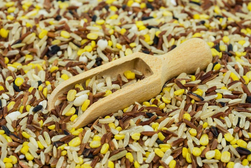 Multigrain Rice stock photo. Image of shovel, organic - 62163086