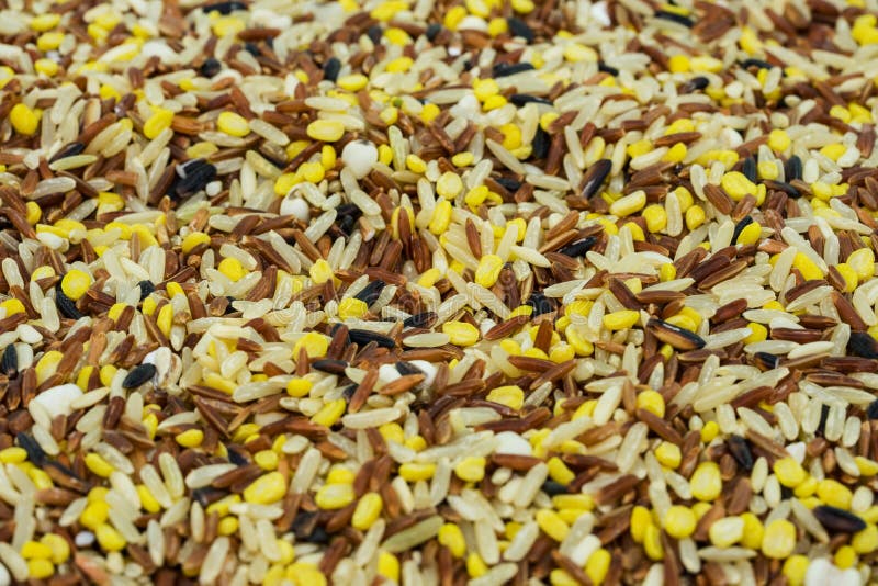 Multigrain Rice stock photo. Image of cereal, uncooked - 62163088