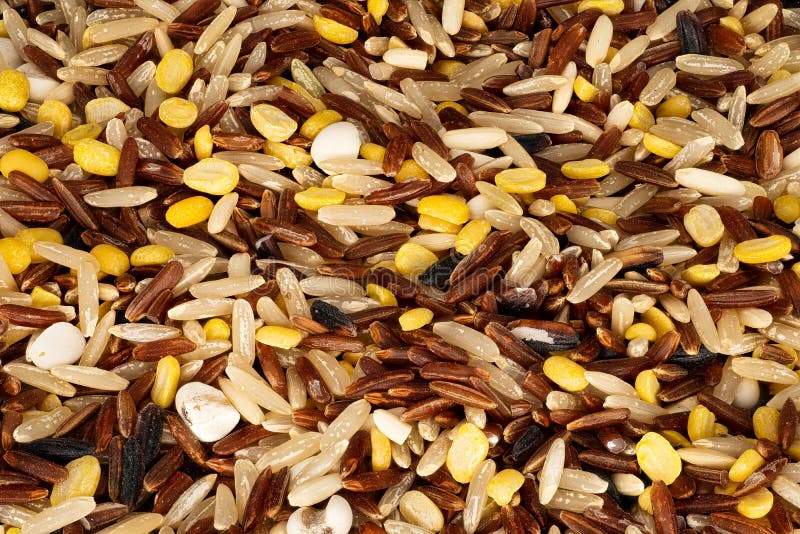 Multigrain Rice stock image. Image of rice, food, multigrain - 62163073