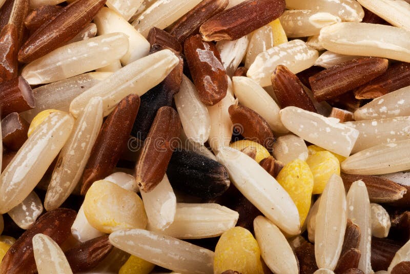 Multigrain Rice stock photo. Image of healthy, cereal - 201079708