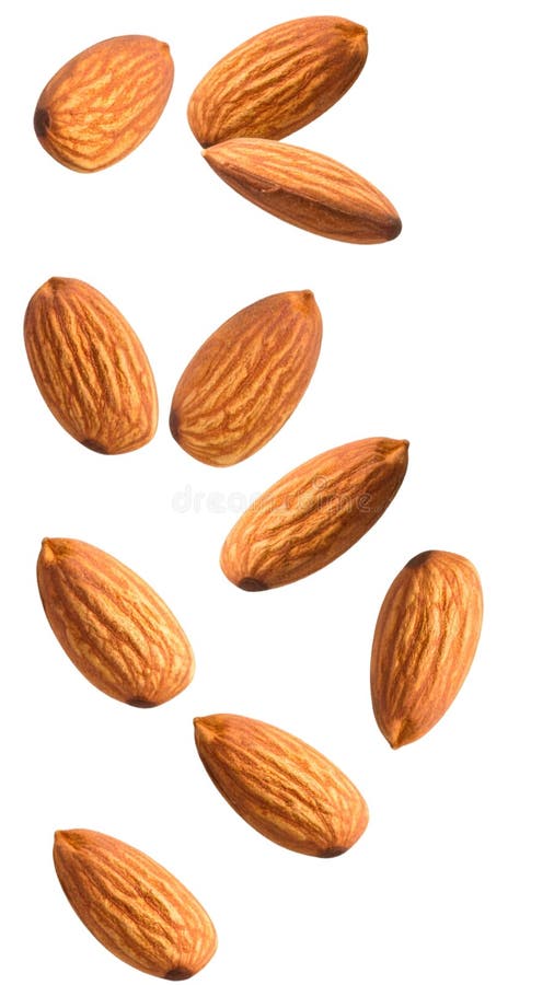 Multiple Almonds Falling Realistic Texture Natural Lighting Transparent ...