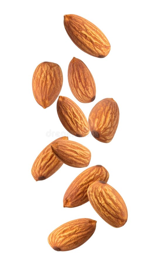 Multiple Almonds Falling Realistic Texture Natural Lighting Transparent ...