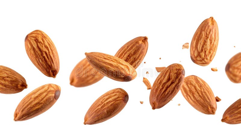 Multiple Almonds Hovering Transparent Background Realistic Texture ...