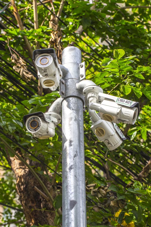 Multiple Angle Outdoor CCTV Camera on the Pole Near the Tree Stock ...