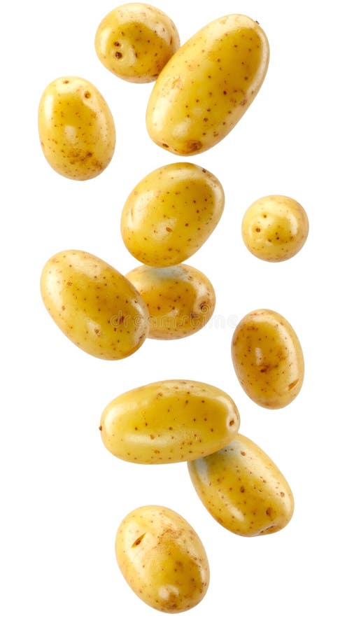 Multiple Baby Potatoes Falling on a Transparent Background Stock Image ...