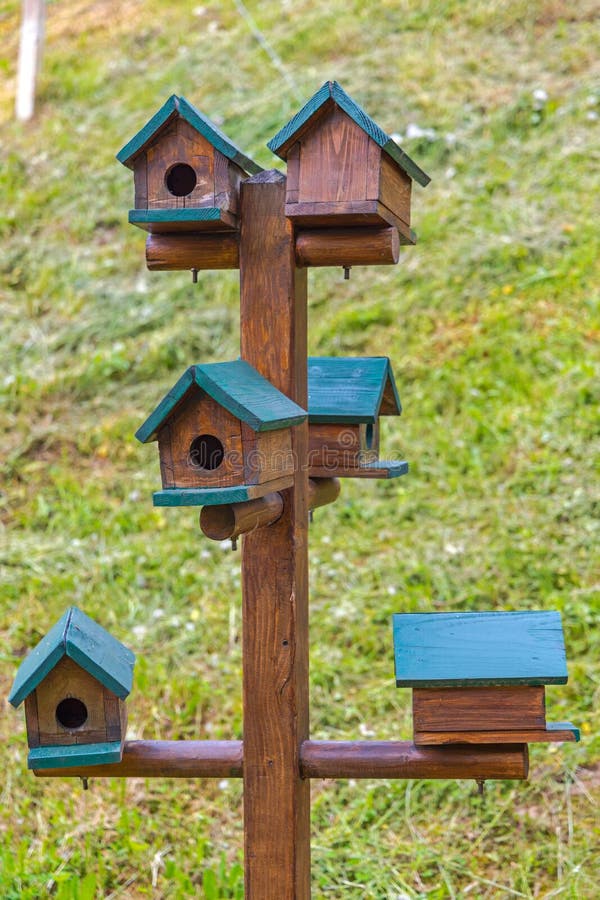 Multiple Birds Houses stock photo. Image of bird, multi - 266840172