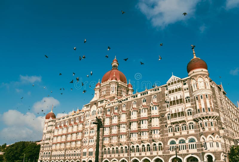 Several Birds Flying Over a Large Building with Many Windows and ...