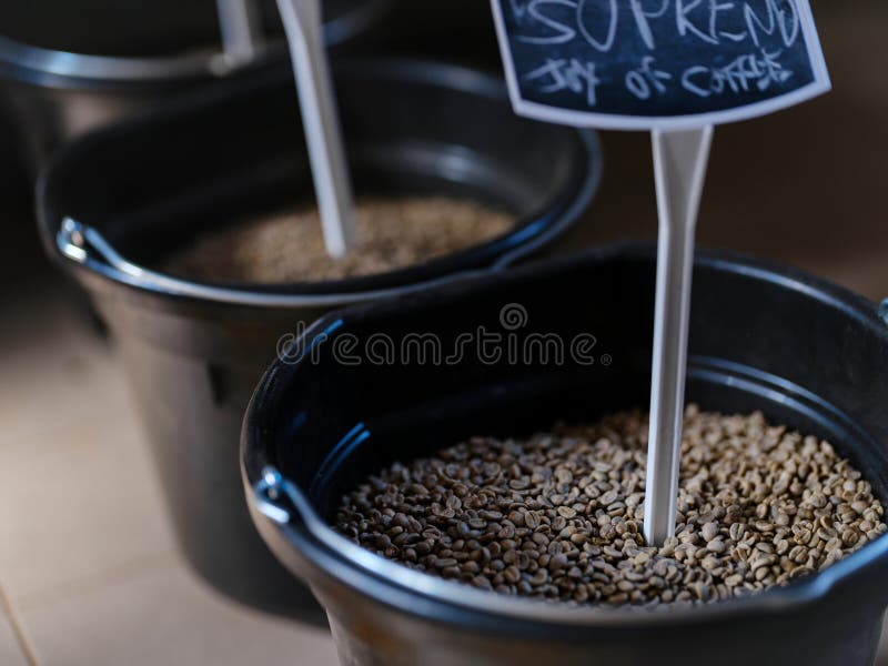 Coffee Bean Display with Labels Stock Photo - Image of bean, specialty ...