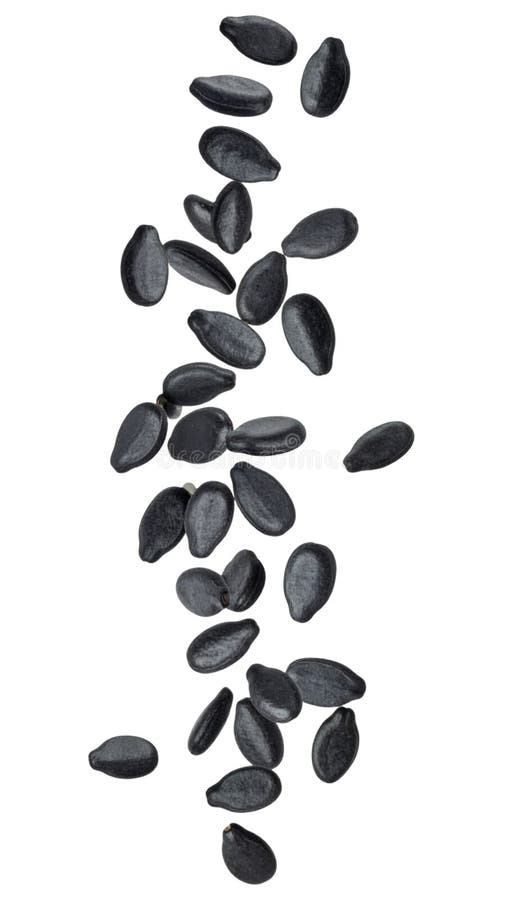Multiple Black Sesame Seeds Falling on Transparent Background Stock ...