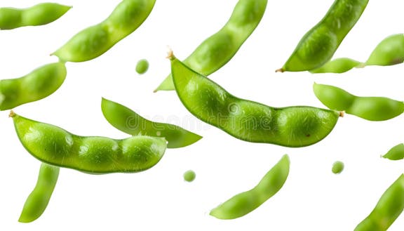 Multiple Boiled Edamame Falling on Transparent Background Stock ...