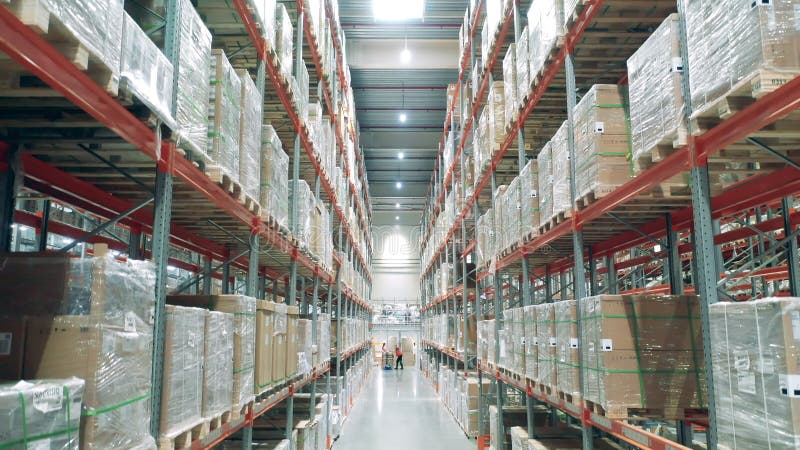 Multiple Boxes Stored on the Shelves of the Warehouse Stock Footage ...