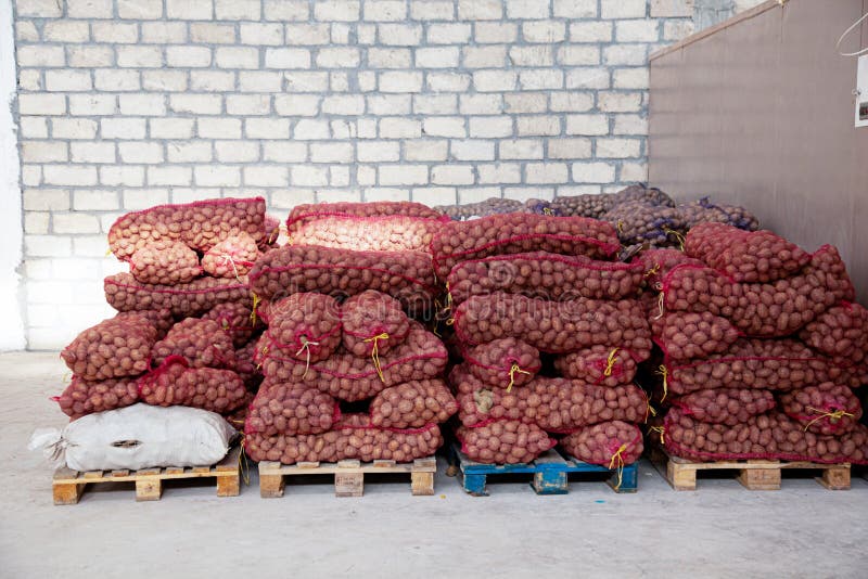 Multiple Cases Filled with Potatoes in the Warehouse Stock Photo ...