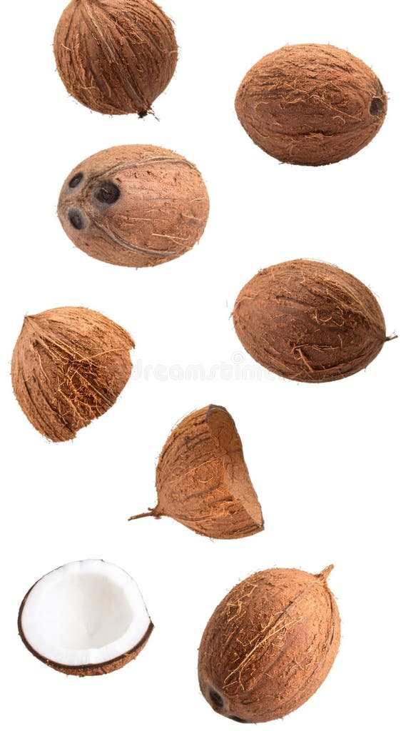Multiple Coconuts Falling on Transparent Background Stock Image - Image ...