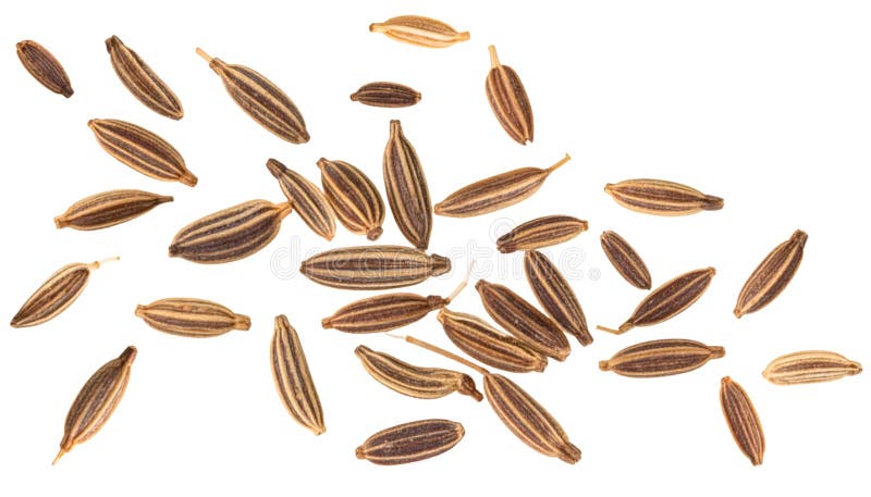 Falling Down Cumin Stock Photos - Free & Royalty-Free Stock Photos from ...