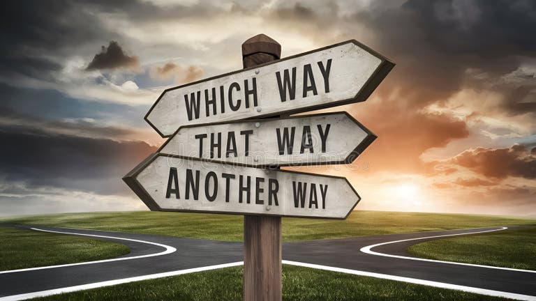 Decision-Making Concept with Multiple Directional Signposts Under a ...