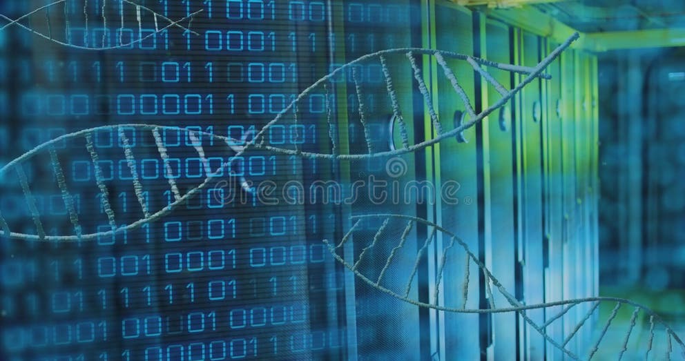 Multiple Dna Structure Spinning and Binary Coding Data Processing Against Computer Server Room ...