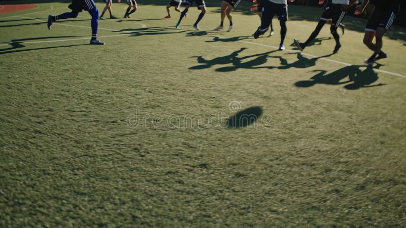 Multiple Dynamic Perspectives Capture Soccer Players Training on a Turf ...