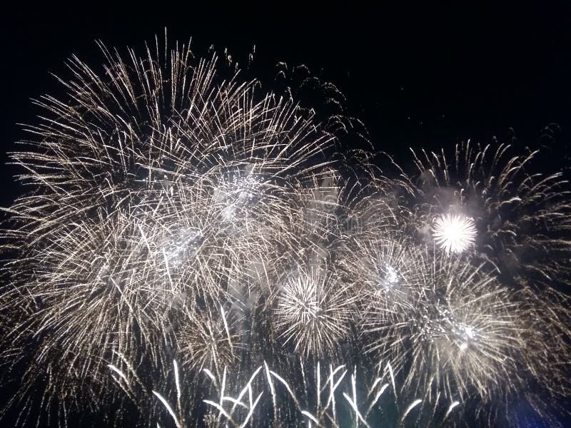 Fireworks stock photo. Image of dandelion, night, multiple - 119208618