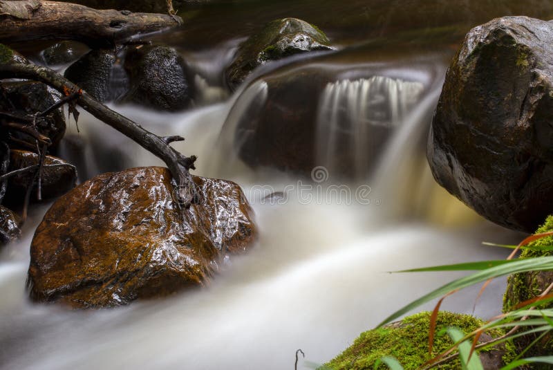 Cold Stream of Water in a Mountain Creek Stock Photo - Image of ...