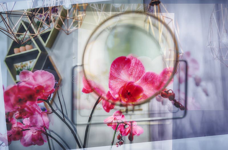 Multiple Exposure of Flowers Stock Photo - Image of flower, abstract ...