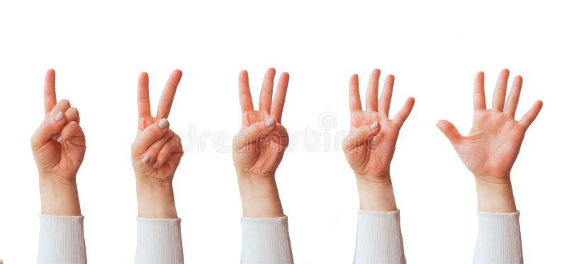 Multiple Female Caucasian Hand Gestures Isolated Over the White ...