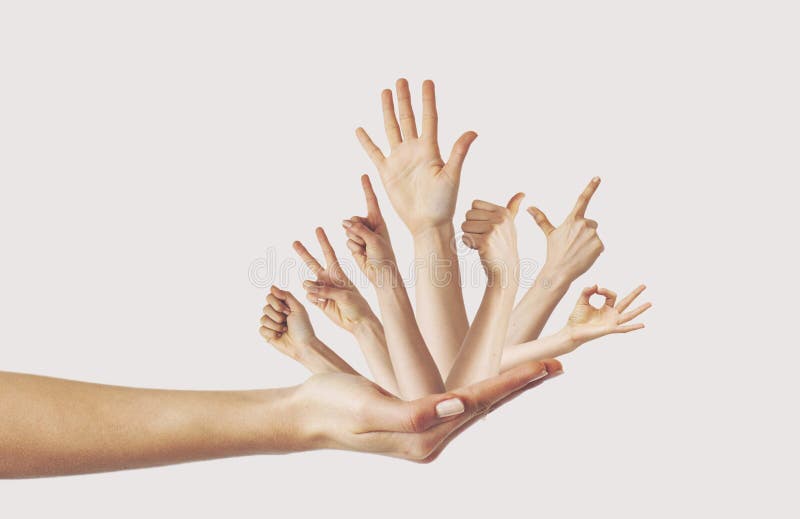 Multiple Hands Heart Shape Stock Photos - Free & Royalty-Free Stock ...