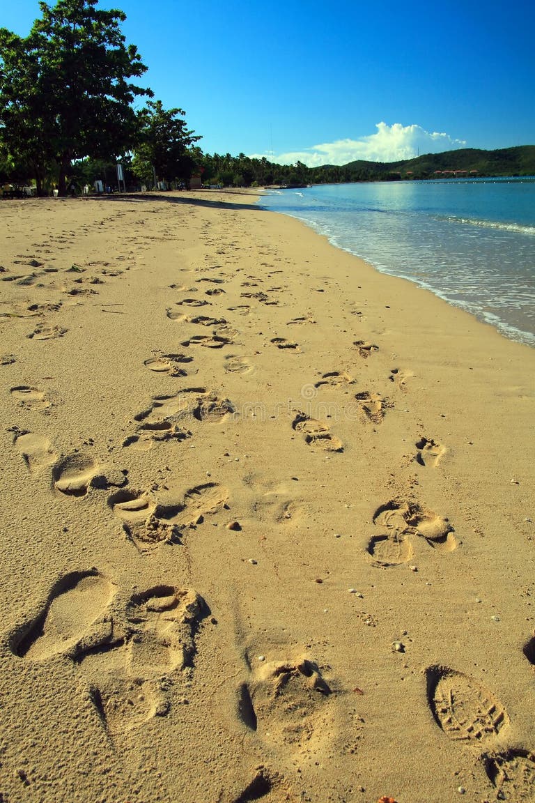 74,845 Footprints Stock Photos - Free & Royalty-Free Stock Photos from ...