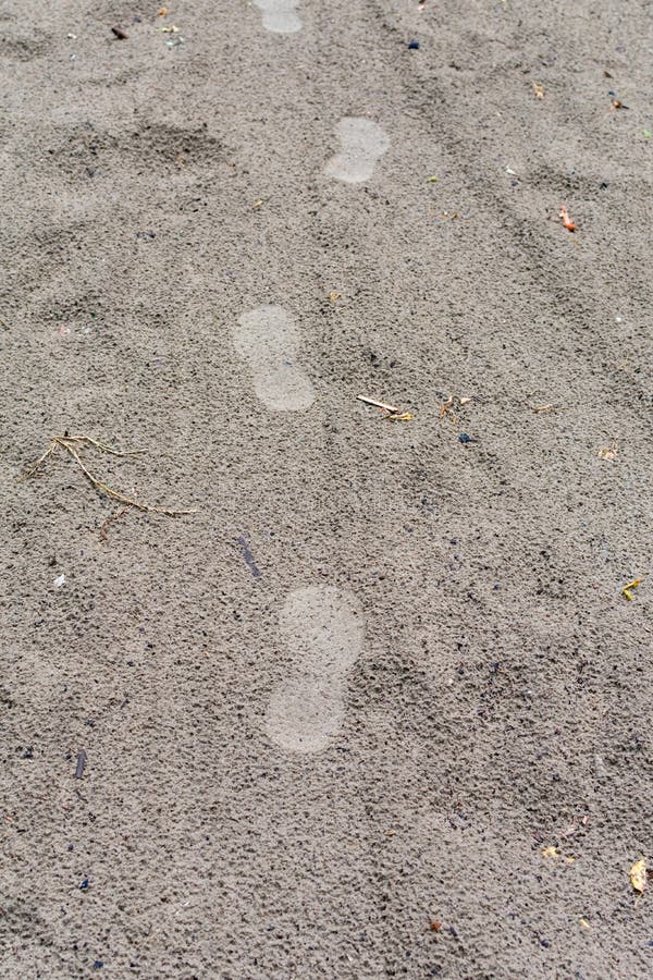 Multiple Footprints on Wet Sand after Rain. Footprints in the Wet Sand ...