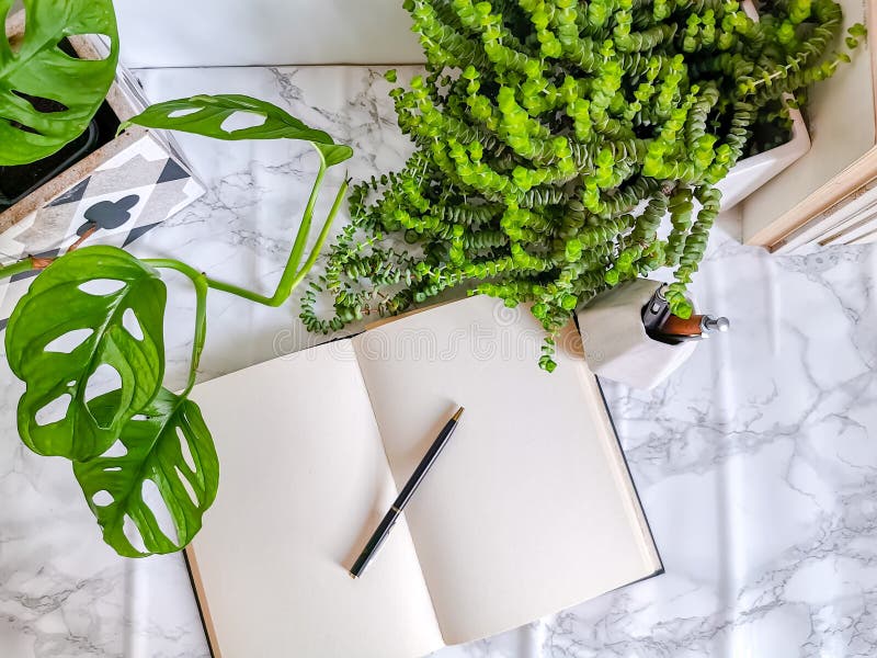 Multiple Indoor Plants and a Blank Notebook on a Office Desk in a ...