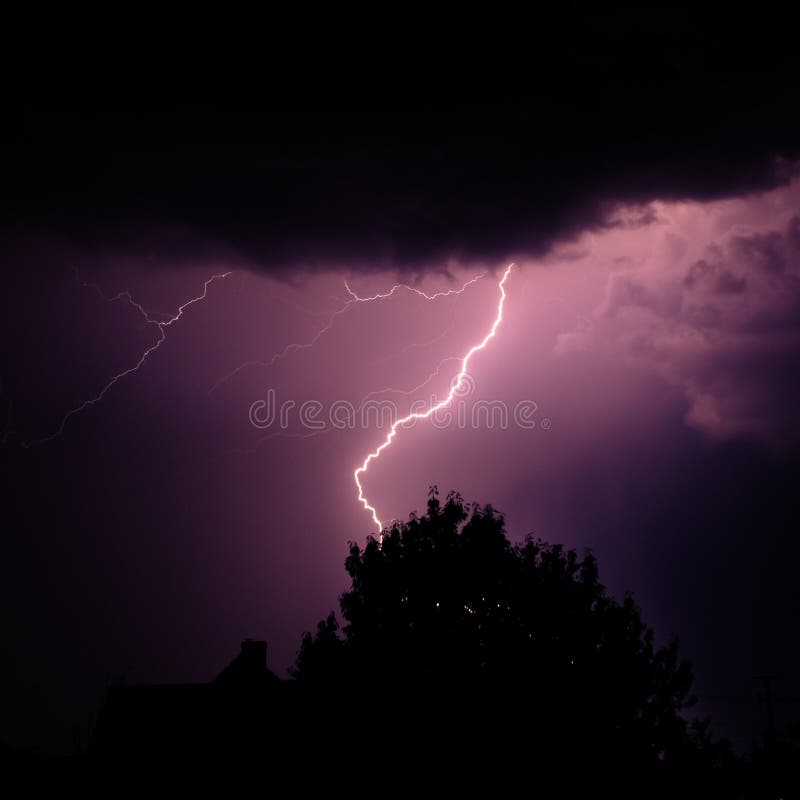 Multiple Lightning Strikes Painting the Sky Purple on a Summer Evening ...