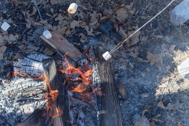 Diverse People Hands Roasting Marshmallows Over Outdoor Campfire Stock ...