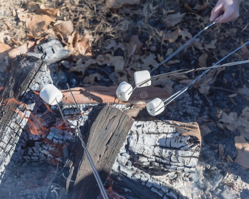 Diverse People Hands Roasting Marshmallows Over Outdoor Campfire Stock ...