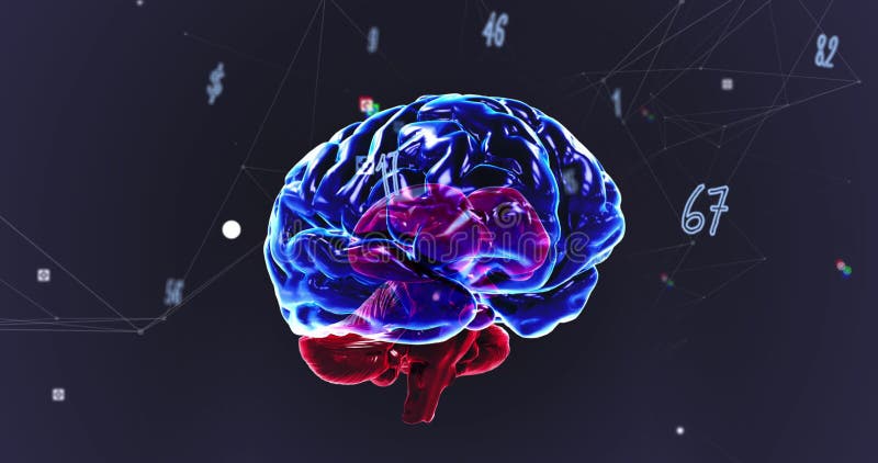 Multiple Numbers Floating Over Spinning Human Brain Against Network of ... Multiple Numbers Floating Over Spinning Human Brain Against Network of ...