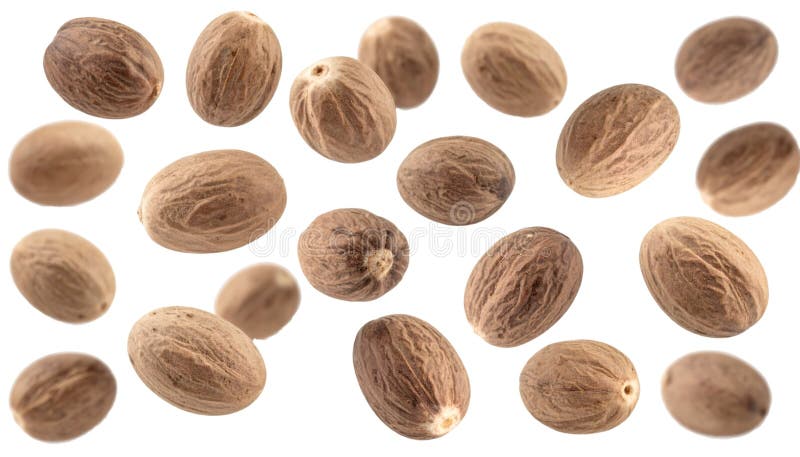 Multiple Nutmeg Seeds Falling Against Transparent Background Stock ...