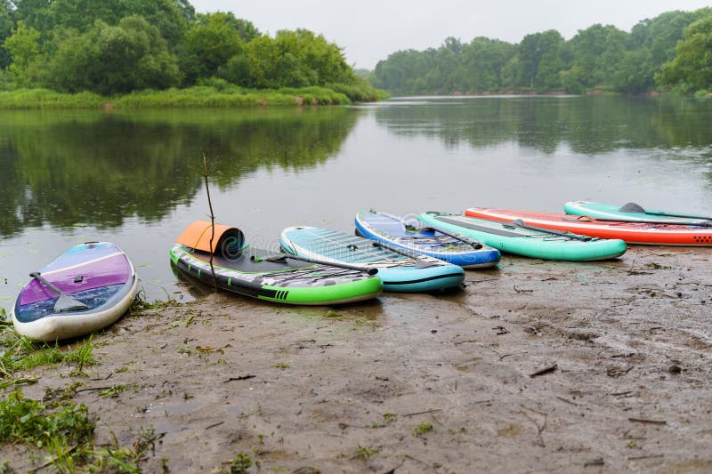 Group of Paddle Boards on River Shore Stock Image - Image of ...