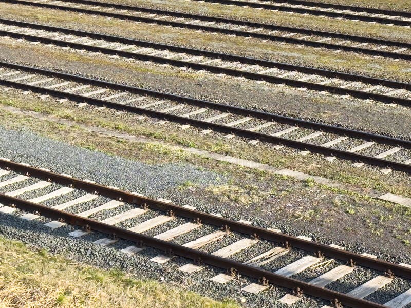 Multiple Parallel Railroad Tracks on Gravel with Grass and Sunlight ...