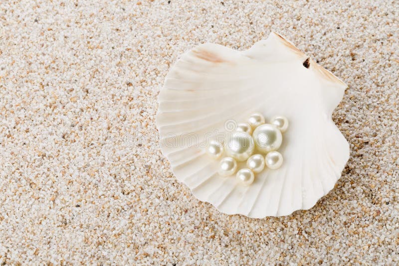 Sea shell with pearl stock image. Image of closeup, beautiful - 14422059