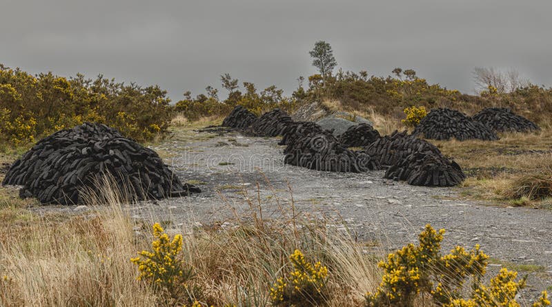 Multiple Piles of Peat Sitting Drying Out in the Bogland Stock Image ...