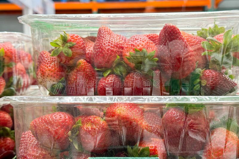 Multiple Plastic Containers Filled with Fresh Red Strawberries on ...