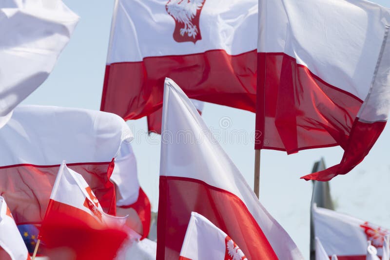 Multiple Polish Flags Flying Against the Sky Stock Photo - Image of ...