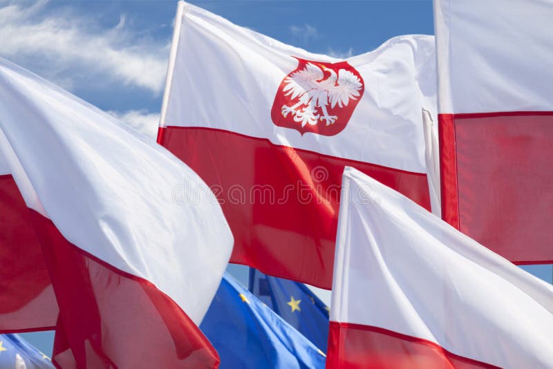 Multiple Polish Flags Flying Against the Sky Stock Image - Image of ...