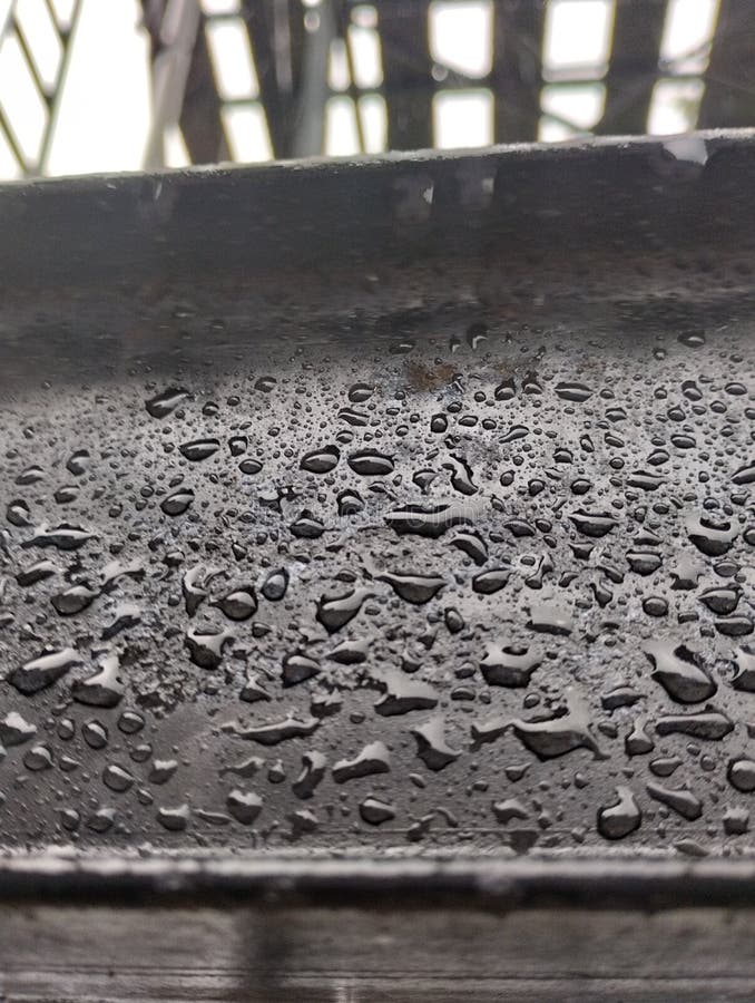 Multiple Raindrops on a Plant Form while Rain is Falling Somewhere in ...