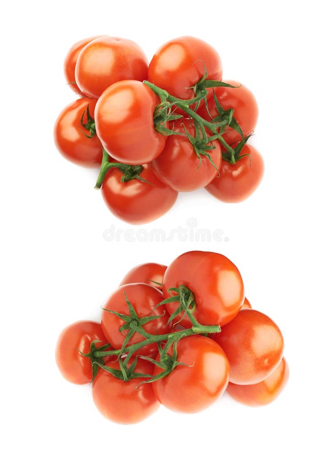 Multiple Red Tomatoes on a Single Stem Stock Image - Image of healthy ...