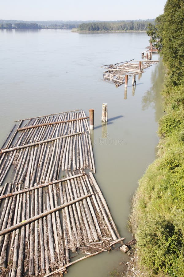 Log Booms are Anchored in the River Awaiting Transportation Stock Photo ...